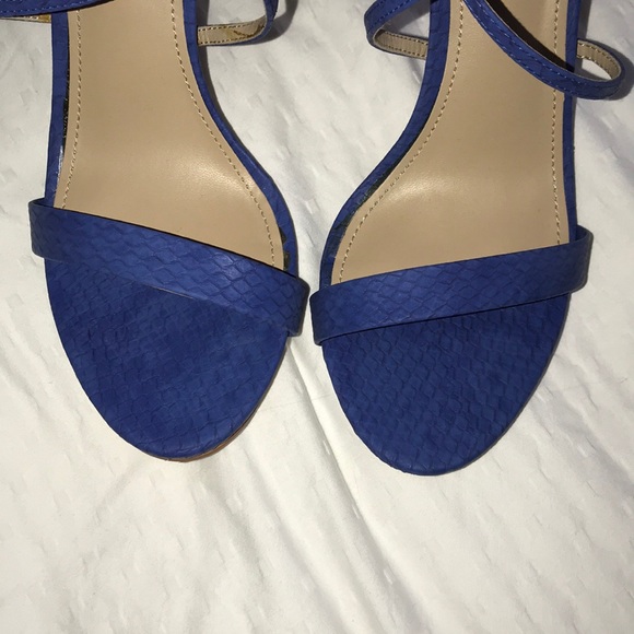 Steve Madden | Shoes | Steve Madden Royal Blue Snakeskin Look Strap ...